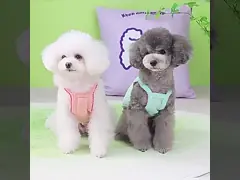 China Soft Machine Washable cute dog wearing clothes Festival Themed Eco Friendly for sale