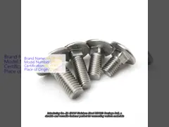 Stainless Steel SS 304 316Made Easy with Secure Carriage Bolt DIN603