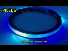 China Unique Black Silicone LED Neon Strip 20*20mm SPI-RGB Dotless Waterproof IP67 LED Neon Flex Rope Light for Club Landscape for sale