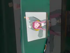 8 Inch AMOLED OLED Display With Touch Panel 1860×2480 Resolution MIPI Interface  430cd/m2 Driving IC RM69380