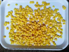 Add a Burst of Flavor and Nutrition with Canned Sweet Corn Perfect for Tacos and Casseroles