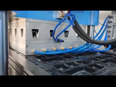 Fully Automatic Disposable Food Container Making Machine