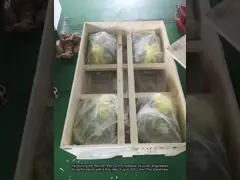 China Rexroth Hydraulic Piston Pump A4VSO355 5-1000 Size German Piston Pump for sale