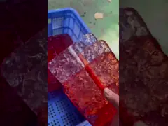 Υαλοπίνακα με στρώση ρητίνης Πλεξίγγαρο αδιάσπαστο