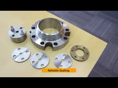 Stainless Steel Flange
