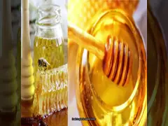 Free Sample Pure Honey Fragrance Essence For Scented Candle