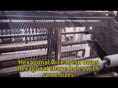 China 1"X 20ga Hexagon Wire Mesh Chicken Wire Mesh Roll For Poultry Farm Mesh Net for sale