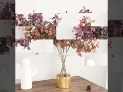China The Keisen series money Leaf home desktop is a simulation plant of Japanese autumn eucalyptus leaves for sale