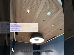 China 16/16/6mm  Conference Hall Perforated Acoustic Panel Soundproof Wall Interior Decorative for sale