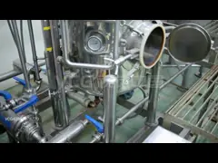 China VEGAVIB 61 Vibrating Level Switch For Granular Bulk Solids VB61.GXAGDRAMX for sale