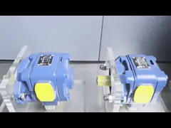 FG21 Series doule internal Gear pump for plastic machine FG21-63-※-01R-VPC-D
