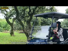 China Customized 48V Electric Golf Car , 2 Seat Golf Carts WIth Golf Back Seats for sale