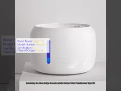 China Latest Design Ganesha Interior Modern Water Fountain Indoor for sale