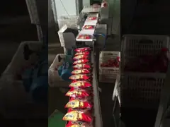 Продовольственная промышленность Автомашина взвешивающая машина Проверка Весатель высокая точность