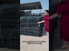 China Vertical Garden Design Welded Gabion Cage Heavy Duty Mesh Aesthetic Outdoor Structure for sale