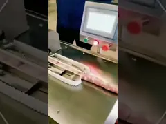 China High Capacity Sausage Production Line For Plant Based And Cooked Sausage Products for sale