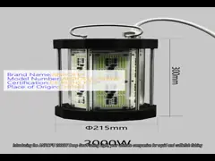 China 2000W Deep Sea Fishing Light Attractor Ice Fishing LED Light For Squid/cuttlefish for sale