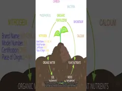 China Dry Place Storage Hydrolyzed Liquid Amino Acid 50% Stress-Resistant Disease-Immune Phytotoxicity Recovery Formula for Crops for sale