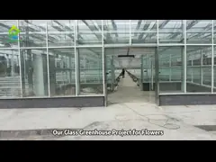 High Transmittance Seedling Agricultural Glass Greenhouse Project