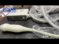 ATL Epiq 7 부문 성인/아동 심장 초음파 탐사선 X5-1