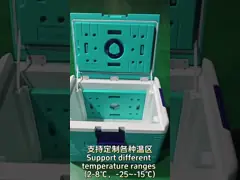 China Portable Ice Cooler Box Insulated Leakproof Storage For Outdoor Activities for sale