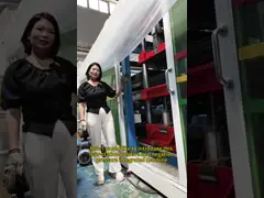 Fully Automatic Four-station Plastic Thermoforming Machine