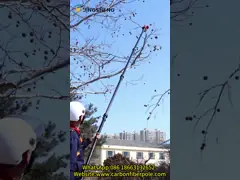 Electric Telescopic Tree Pruner
