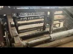 Animali galvanizzati con rete esessuale con torsione a maglia