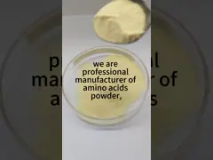 China Plant Protein Extracted Amino Acid Powder 85-90% Free Hydroxyproline for sale