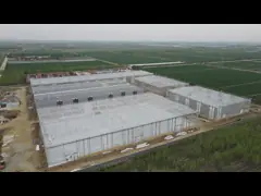 Steel Logistic Warehouse
