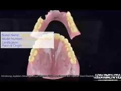 先進的な歯の取り付け技術 アクリル製の歯入れは,弾力性があり,様々な特徴を持っています