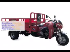 Open Type 300CC Three Wheel Cargo Motorcycle 1000kg Loading