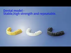 China CE Certified Dental Model 3D Printing Material Biocompatible High Precision Smooth Surface for Diagnostic Implant Models for sale