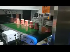풀 키 솔루션 (Turnkey Solutions) 완전 자동화 시력 검사 시스템 (Full Automated Vision Inspection System) 을 갖춘 IML 입력 로봇