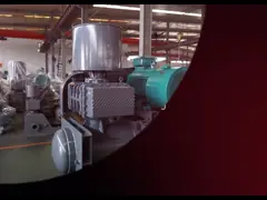 China Intelligent Roots Blower Vacuum Pump For Optimal Performance And Energy Savings for sale