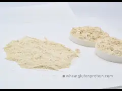 필수 밀 글루텐 밀 글루텐