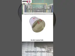 China 5 Gallon Chemical Paint Conical Pail OEM for Solvent Based Coating for sale