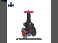China Open and Close Pipeline Flange-Connected Cast Iron Gate Valve with Copper Seal for sale