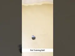 China Eco Friendly Pet Training Ball Waterproof Water Resistant Multi Sport Training for sale