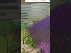 purple polycarbonate hollow sheet