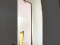 China Corrosion Proof Bathroom Glass Door Handle Modern Style Customized for sale