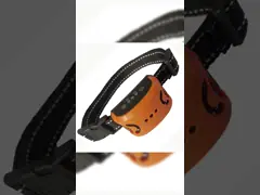 China Water Resistant Pet Training Products Adjustable Dog Remote Control Shock Collar for sale