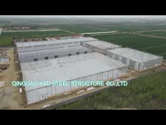 China Cheap Design Insulated Steel Frame Structural Residential House Home for sale