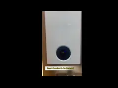 China Efficiency 93% Forced Exhaust Gas Water Heater 21kW Heat Output Power Wall Mounted for Optimal Heating and Efficiency for sale