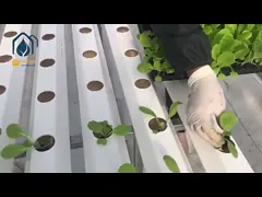 Sistema de cultivo hidropónico de NFT