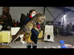 China Realistic Hand Dinosaur Puppet Sunproof Tyrannosaurus Rex Hand Puppet for Performance for sale