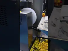 China Tapioca Pearls Making Machine 200pcs/min Fully Automatic Production Line for sale