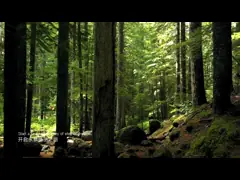 China Wall Panel Wood Grain Decorative Paper Lightweight Decorative Printer Paper for sale