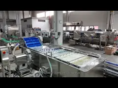 Fruit and vegetable bubbling cleaning machine