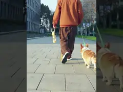 China Multi Colored Plastic Outdoor Walking Portable Dog Drinking Cup Pet Kettle for sale